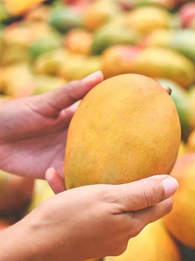 Not Just Alphonso: What Makes These 9 GI-Tagged Indian Mango Varieties ...