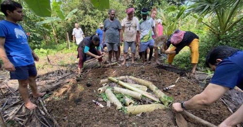8 Best Farm-To-Table Dining Experiences You Must Try in India