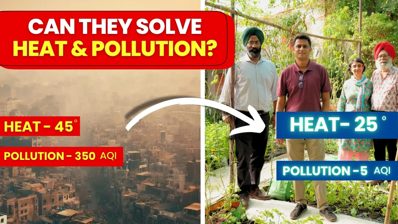 India Heatwave: Solutions For Climate Problem & Pollution - The Better ...