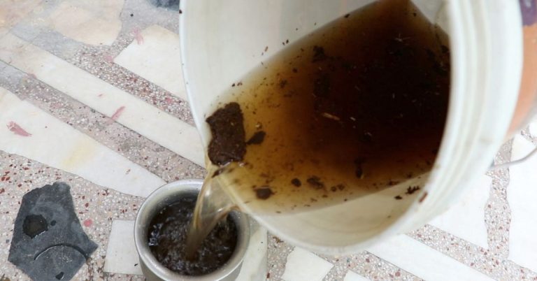 5 Cool Composting Hacks to Save Your Plants From the Heat