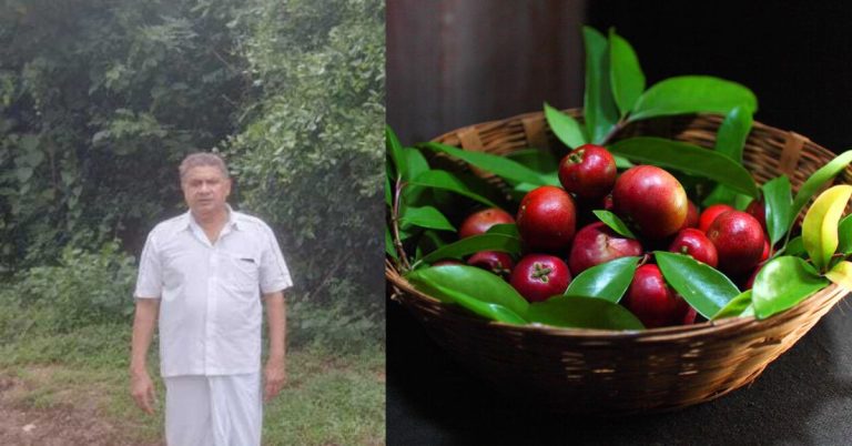 Family Spent 15 Years Growing 10000 Kokum Trees & Distributed 2L Saplings