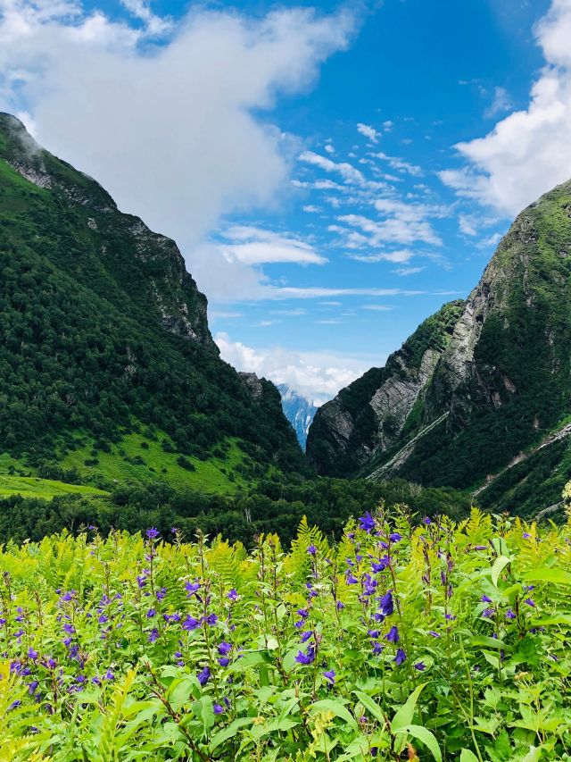A Map of 40 Most Stunning Natural Wonders of India; Add to Your Travel List