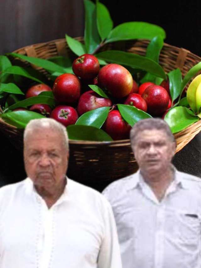 This Family Spent 15 Years Growing 10,000 Kokum Trees; Here’s Why