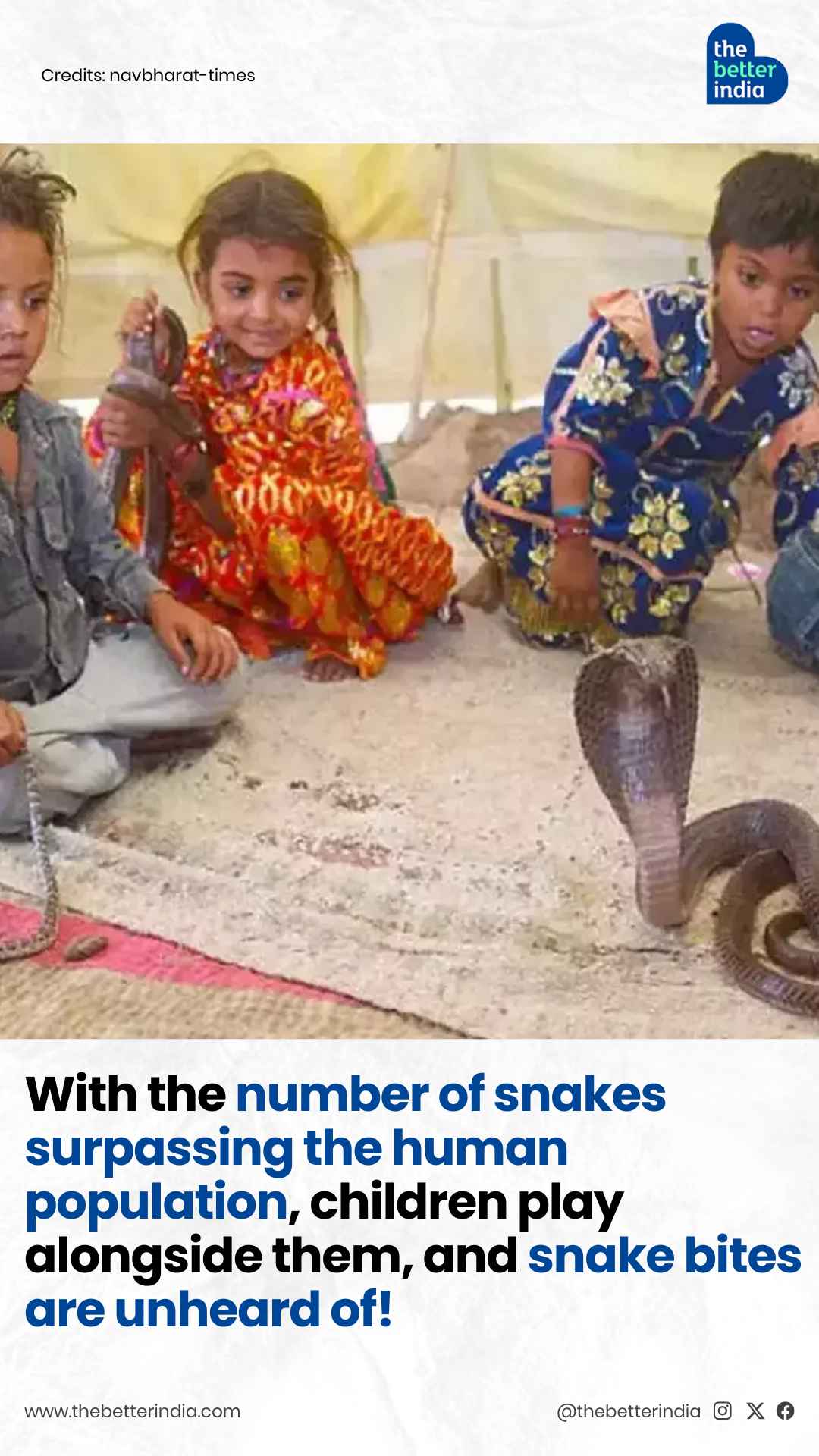 Shetpal Village: Where Humans & Snakes Live Together In Harmony!