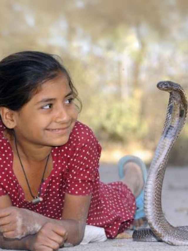 Shetpal Village: Where Humans & Snakes Live Together In Harmony!