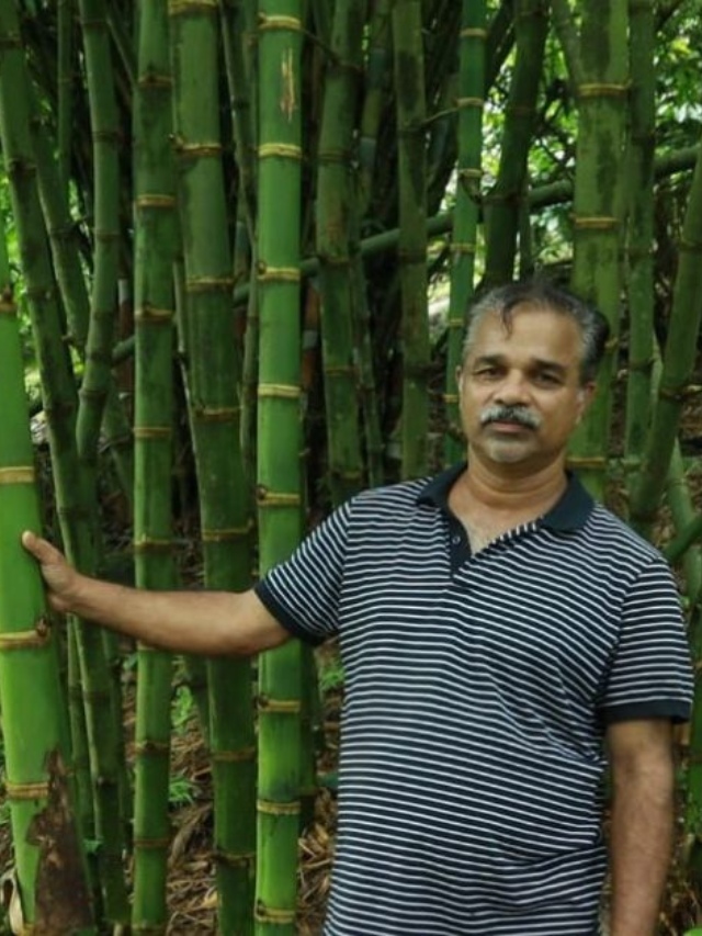 1 Man Is Protecting 142 Bamboo Species in Wayanad With a 17-Acre Sanctuary