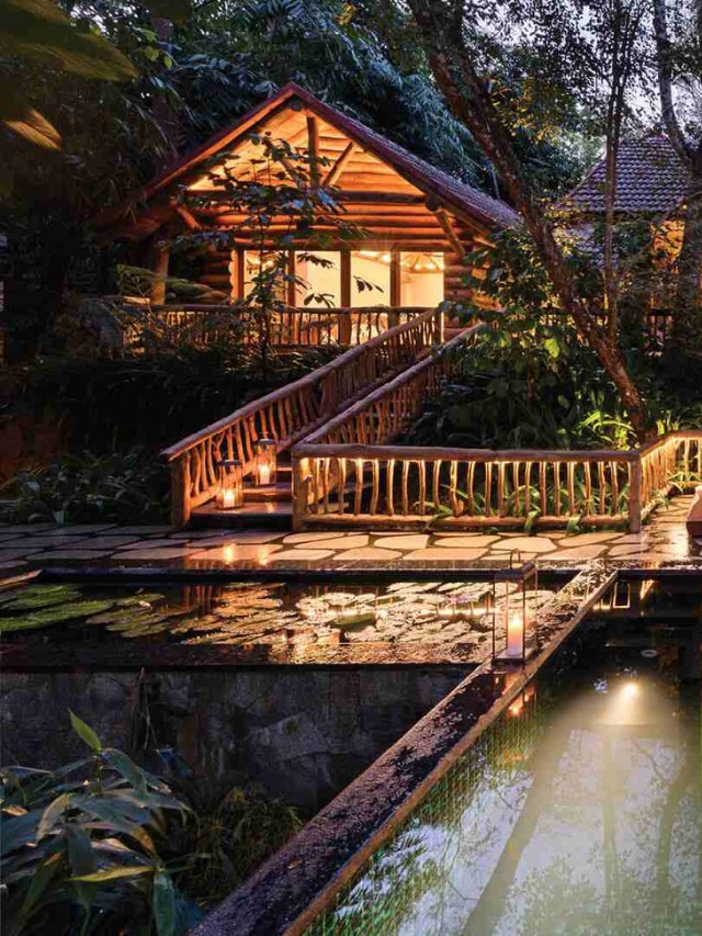 Estate Plavu: A House That’s Built Around Trees, Not Over Them