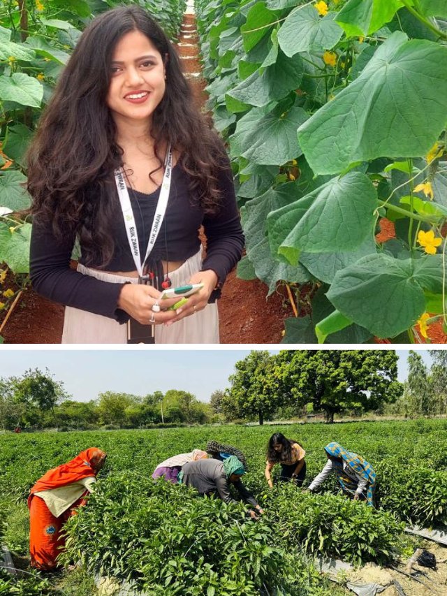 Former Terrace Gardener Starts 6-Acre Exotic Veggies Farm in Lucknow