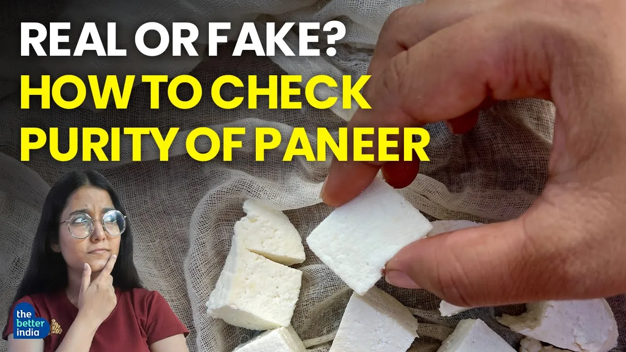 Real or Fake? How to Check Purity of Paneer. - The Better India