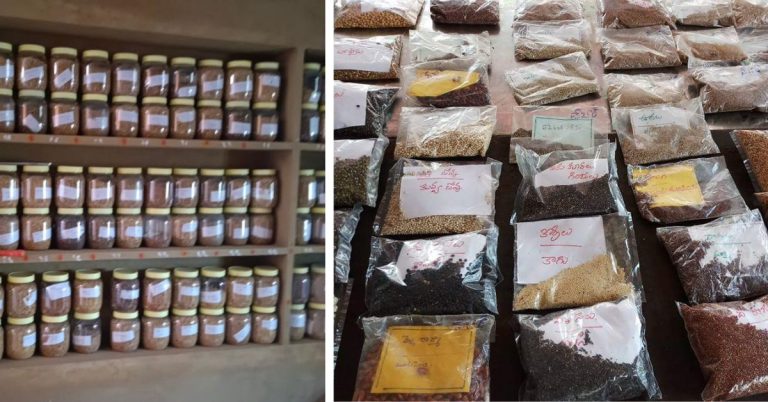 Meet the Man Who Has Preserved 3600 Varieties of Indigenous Seeds