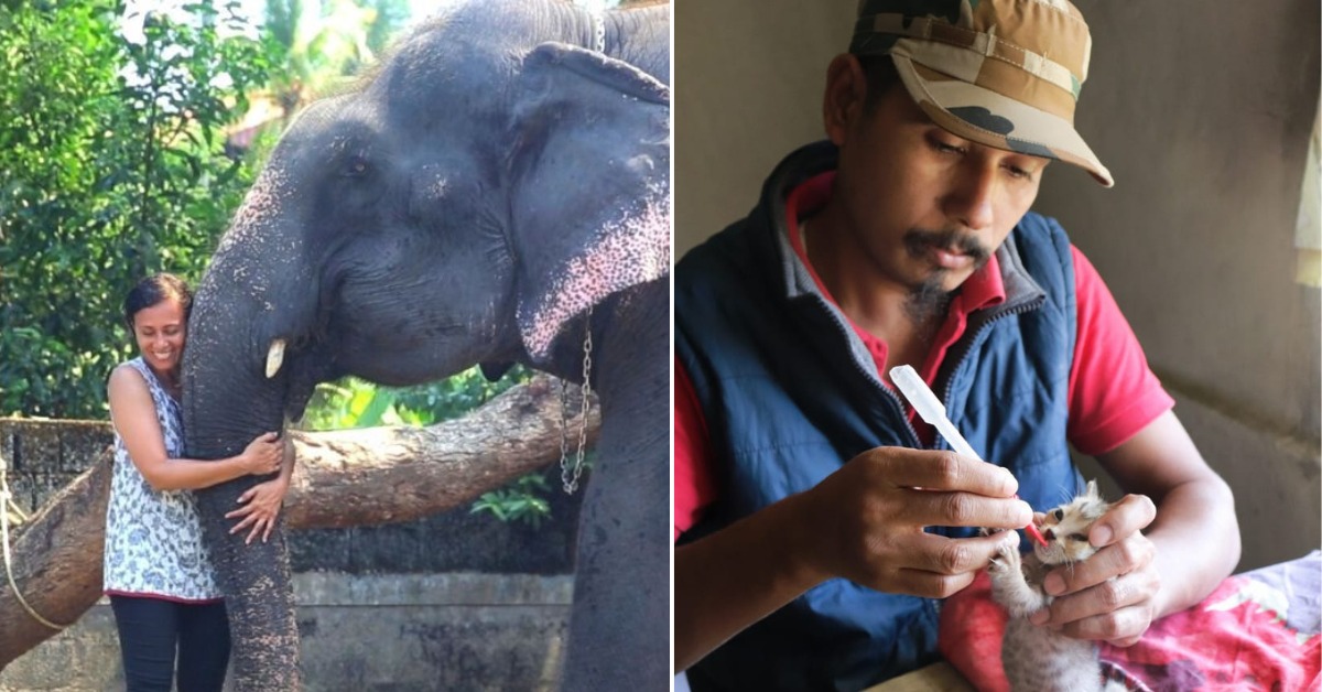 10 Powerful Stories of Conservationists Saving India’s Wildlife