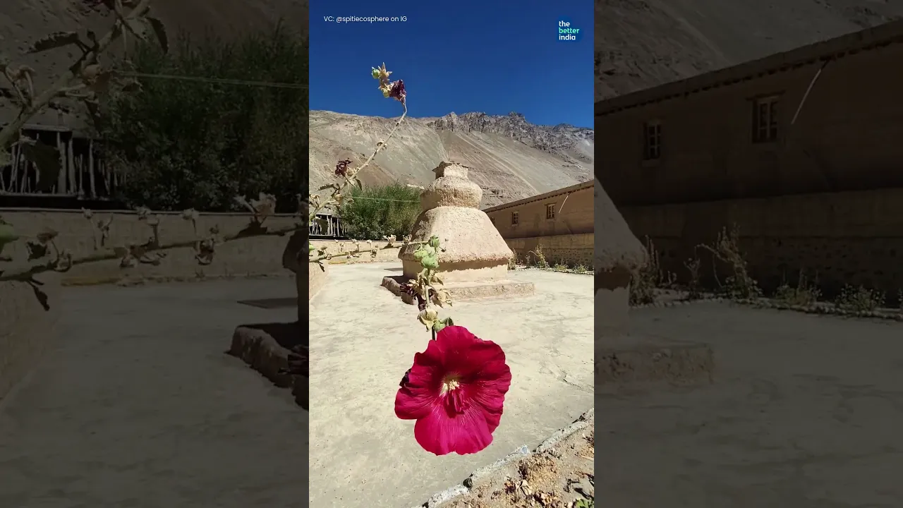 This stunning monastery in Himachal Pradesh is at a height of 3,280m ...