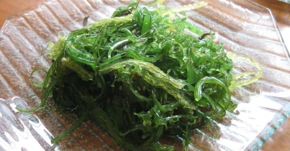The Ultimate Step-By-Step Guide To Grow Seaweed at Home