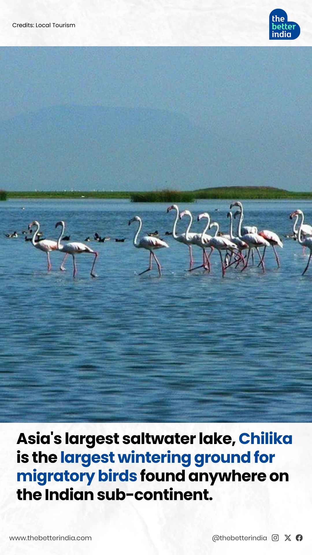 How Fishermen & a Bold Idea Brought Chilika Lake Back to Life