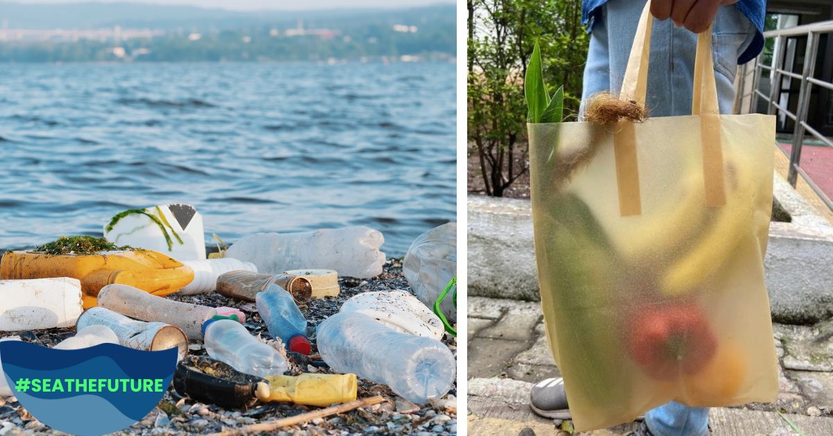 Is Seaweed the Key to Replacing Plastic in Packaging?