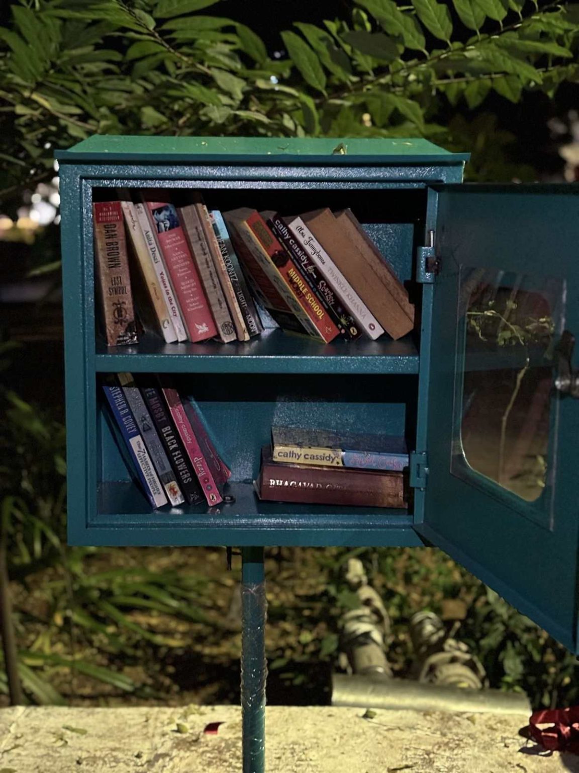 Two College Students Are Turning Public Parks Into Free Libraries in ...