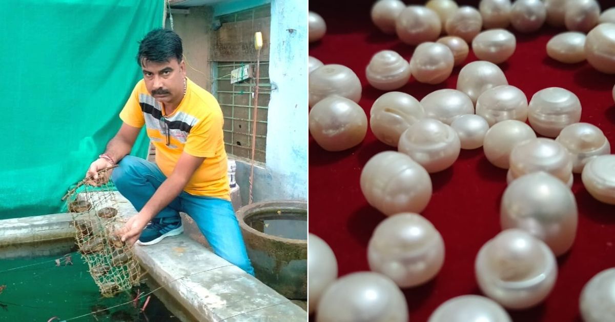 Freshwater Pearl Farming Tips From Rajasthan Man Earning Rs 15 Lakh