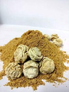 Rajasthan’s ‘Desert Cucumber’: The Mini Watermelon Lookalike