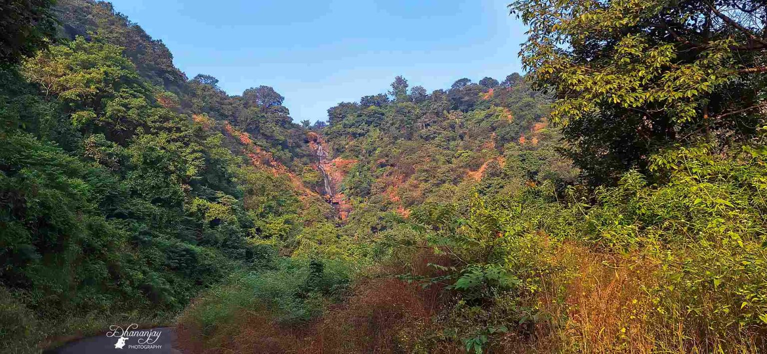 How ‘Discover Koyna’ Revived Eco-Tourism & Transformed Lives in Maharashtra