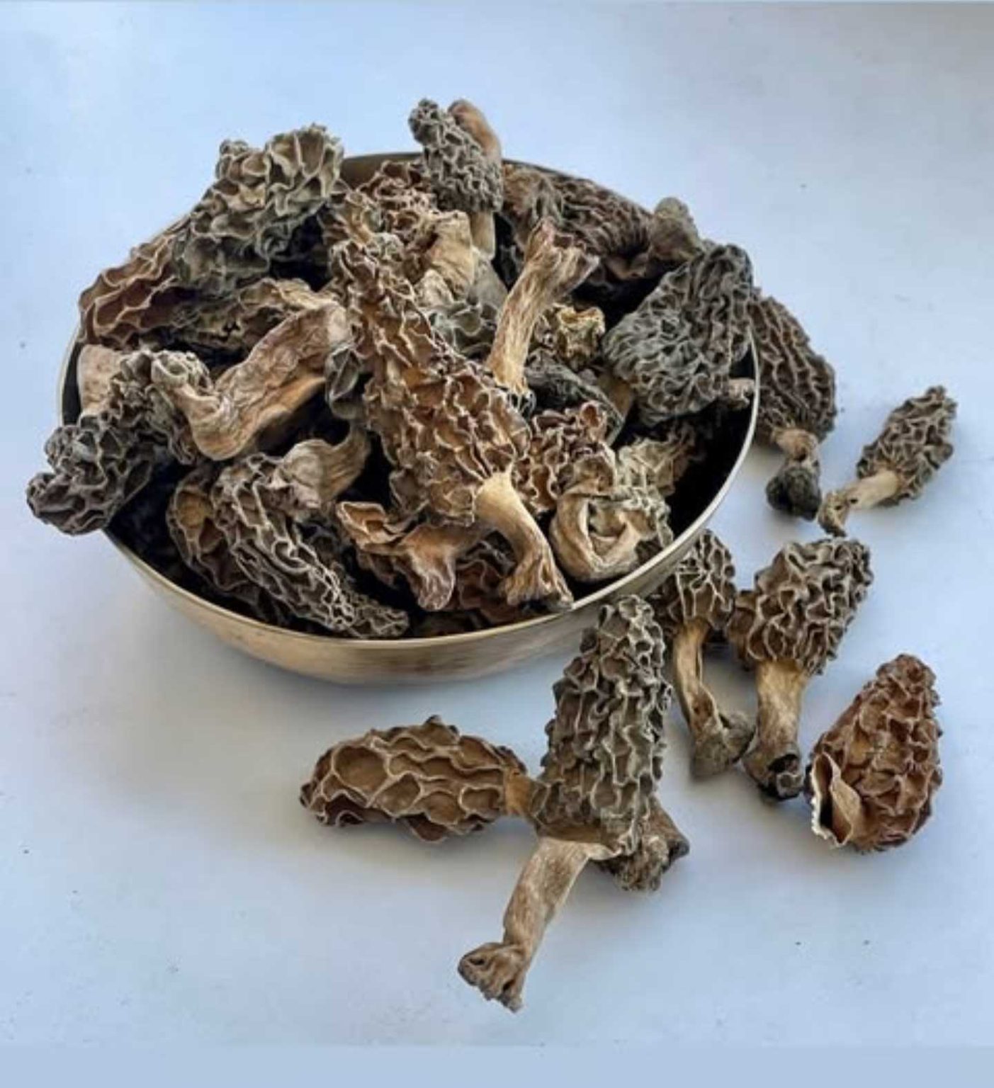 What Are Gucchi Mushrooms And Why Are They So Expensive?