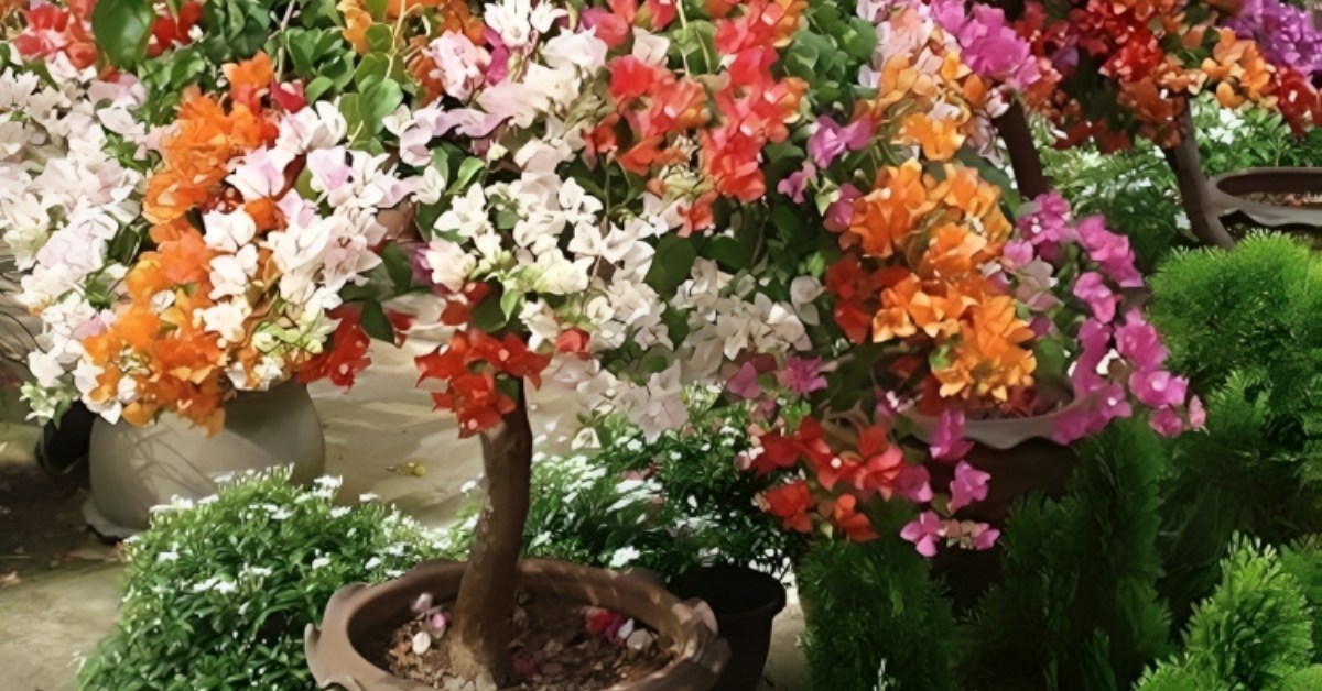 5 Water-Saving Plants That Grow in India’s Summer Heat