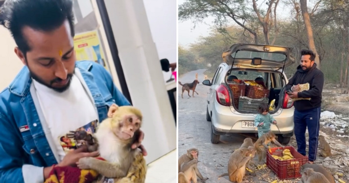 Haryana Man Leaves Modelling Career to Rescue Monkeys