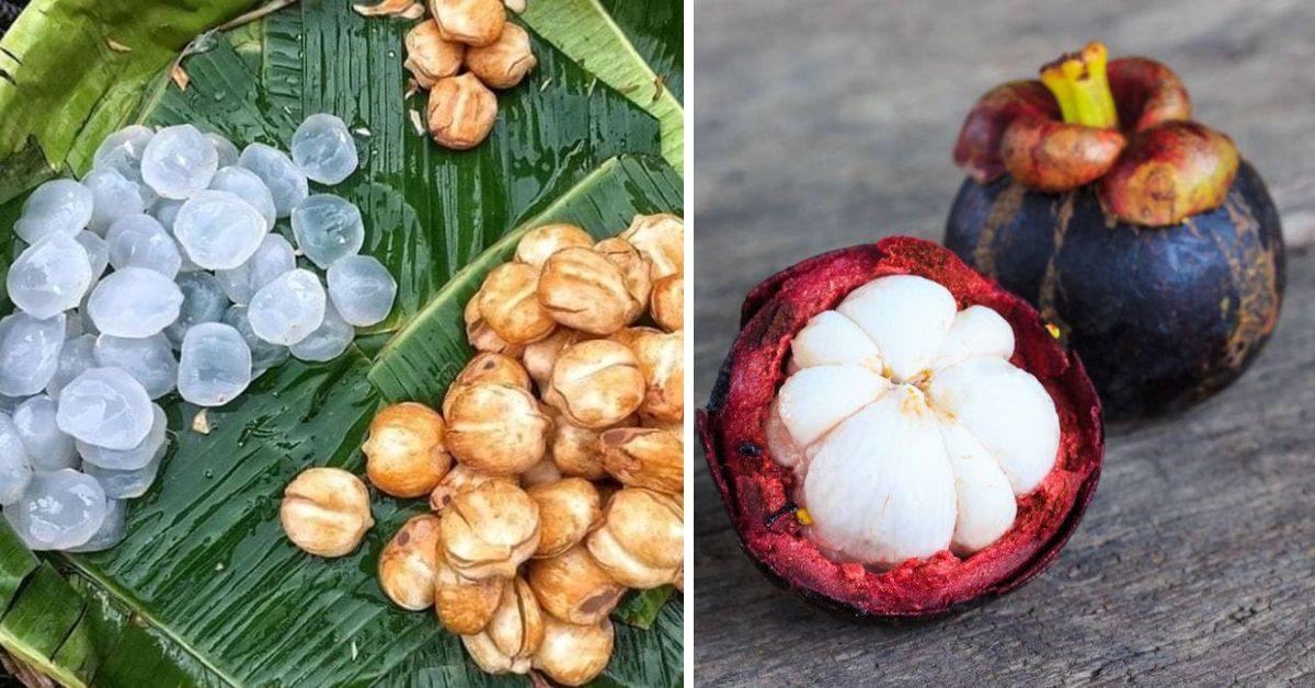 Summer Fruits And Vegetables In Indian Culture - Infoupdate.org