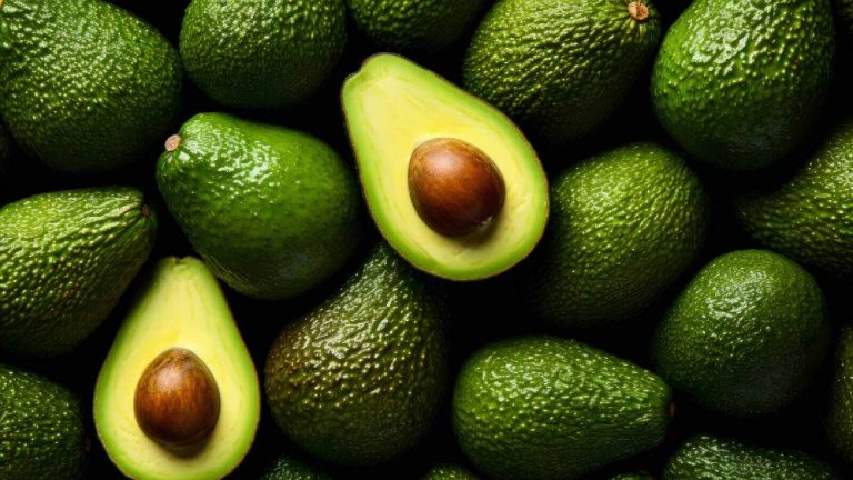Parmeshwar Thorat’s Drought-Resilient Avocado Farming Process