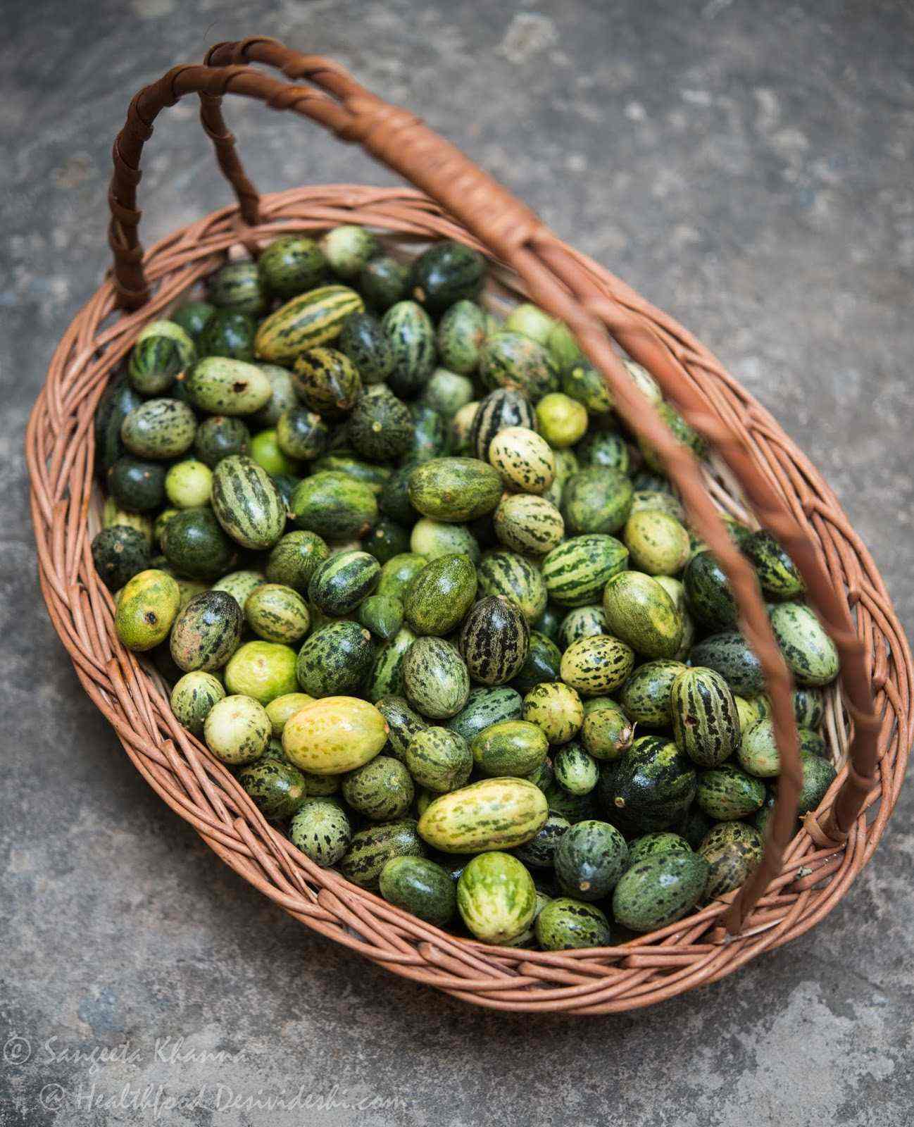 Rajasthan’s ‘Desert Cucumber’: The Mini Watermelon Lookalike