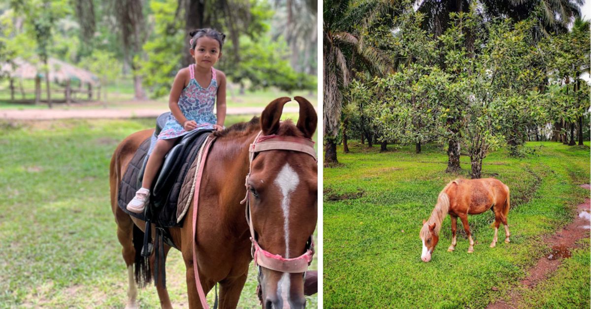 Where to Go Fruit Picking, Horse Riding & Star Gazing With Your Child?