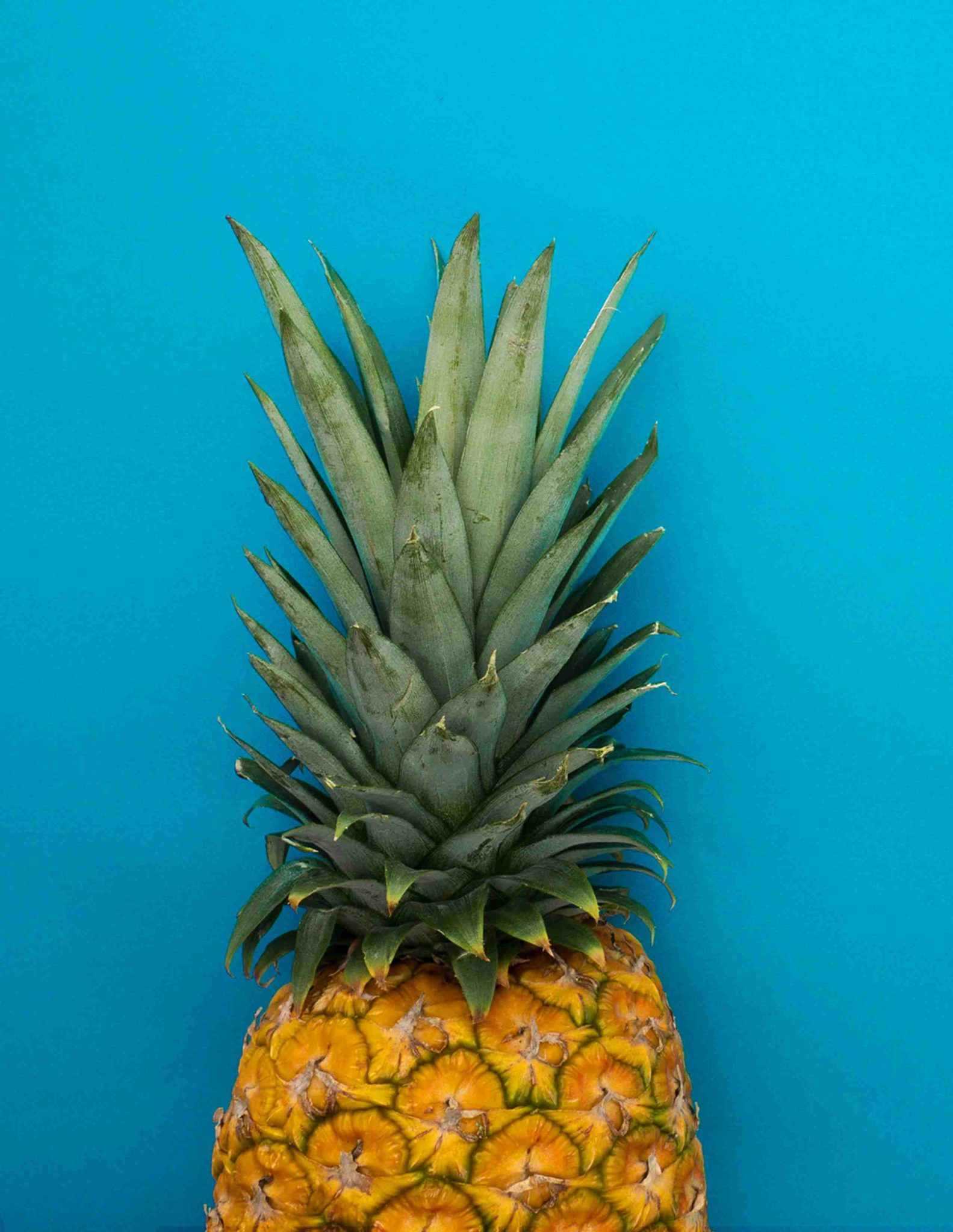 How to Grow Pineapples at Home: A Step-by-Step Guide for Urban Gardeners