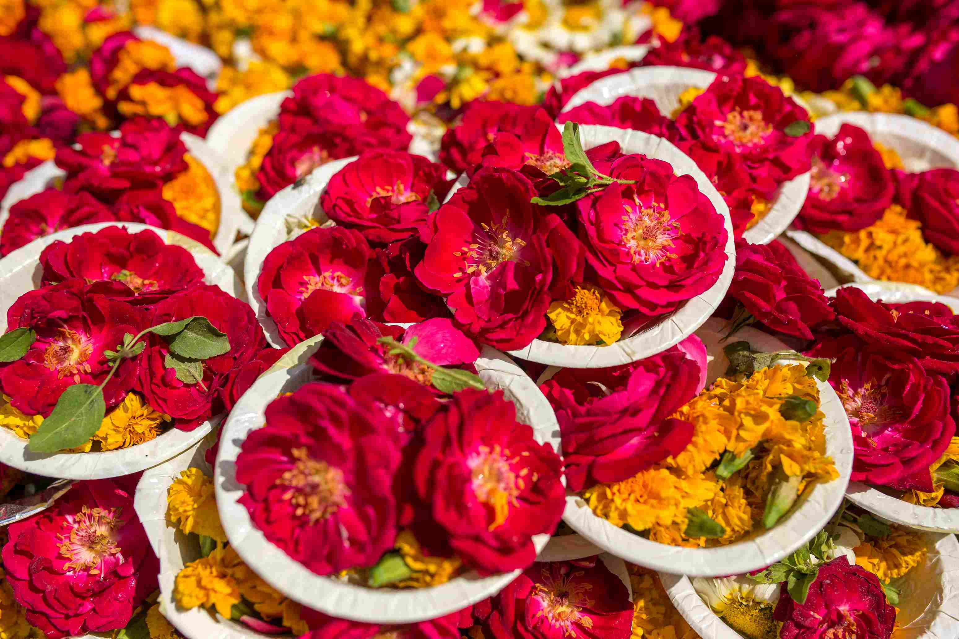 Lathmar Holi, Flower Holi & Other Unique Holi Celebrations in India
