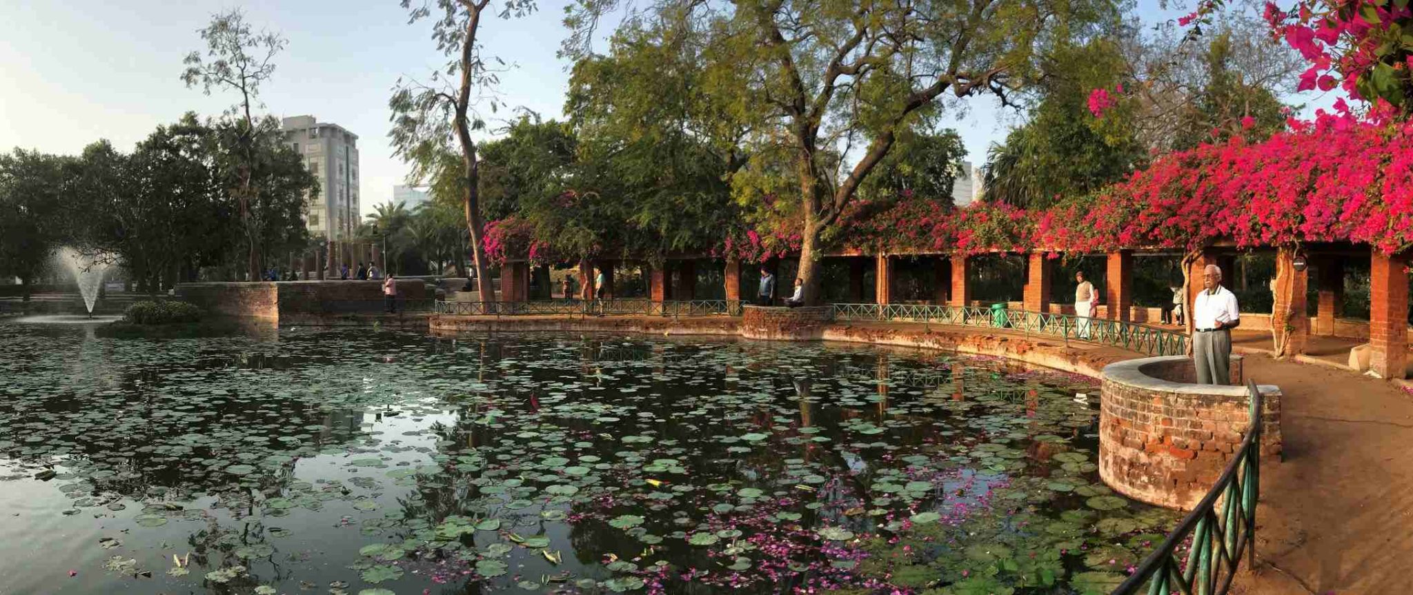 Heet Doshi & Om Thakkar’s Guide to Turning Parks into Mini Libraries