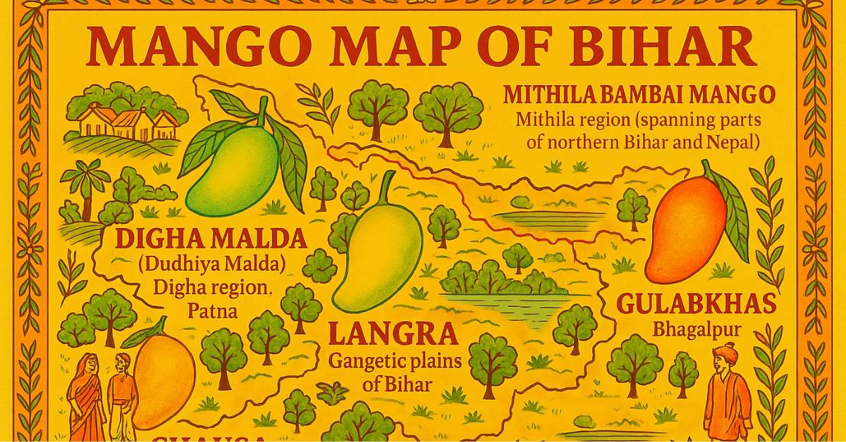 Complete Guide to Mango Varieties Grown in Bihar: Where to Find Them