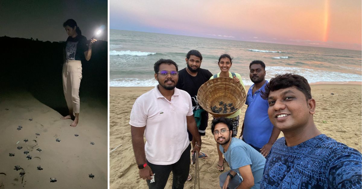 How SSTCN Volunteers Are Protecting Olive Ridley Turtles in Chennai