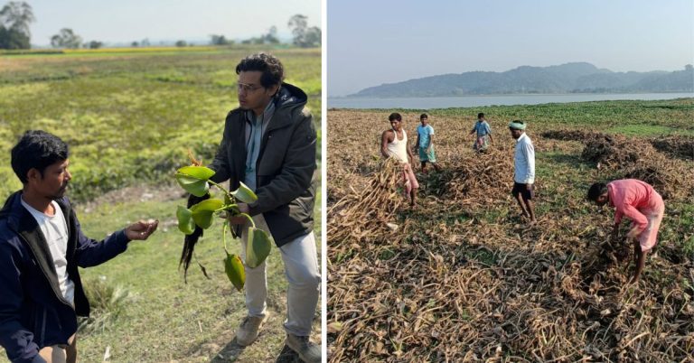 Assam Startup Kumbhi Kagaz Makes Paper from Water Hyacinth, Taps $2.5 ...