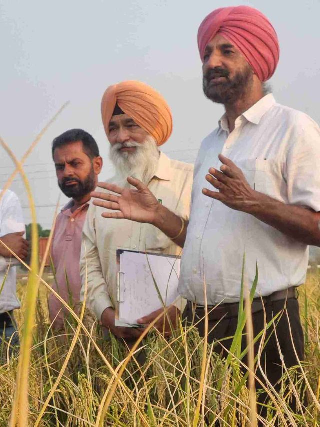 Kahan Singh Shows How To Grow Paddy Using Just 25% Water