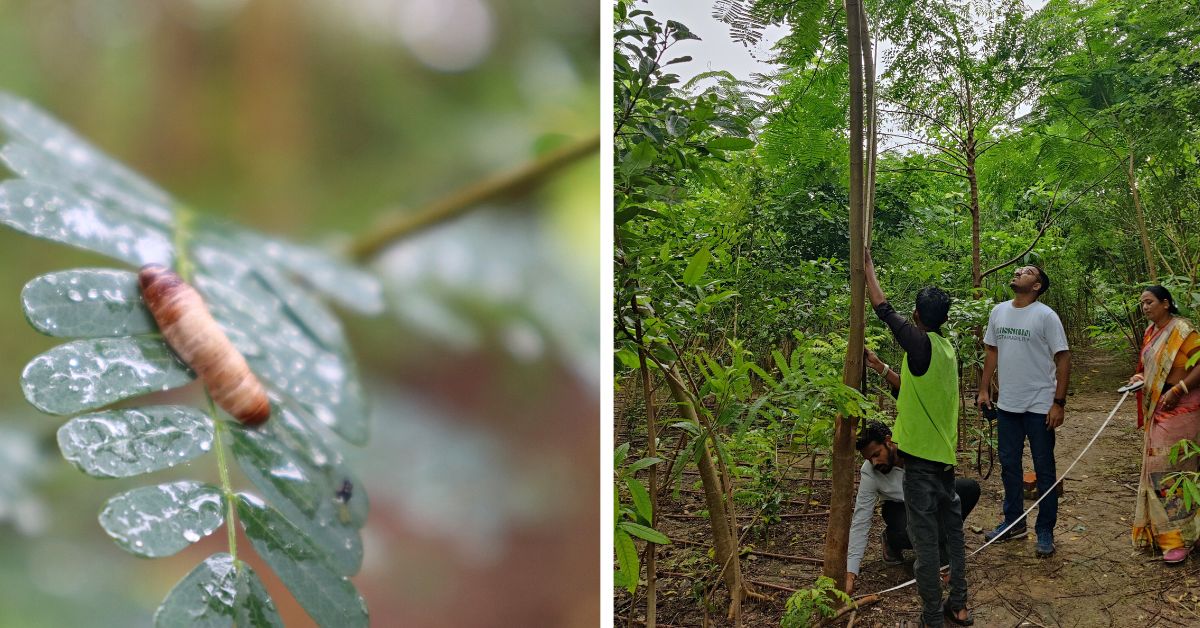 CATCH Foundation's Reforestation Model is Turning Barren Landscapes to ...