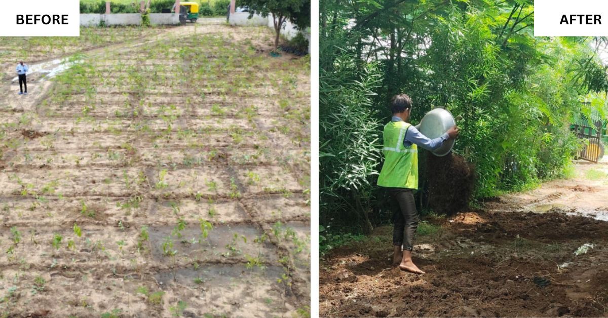 CATCH Foundation's Reforestation Model is Turning Barren Landscapes to ...