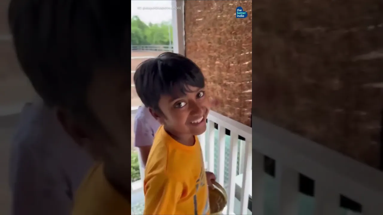 How Vetiver Root Curtains Can Naturally Cool Your Home This Summer ...