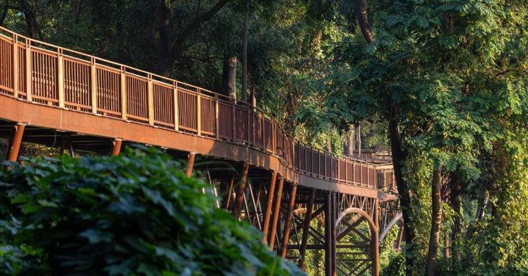 Walking Mumbai’s Malabar Nature Trail With Architect Rahul Kadri