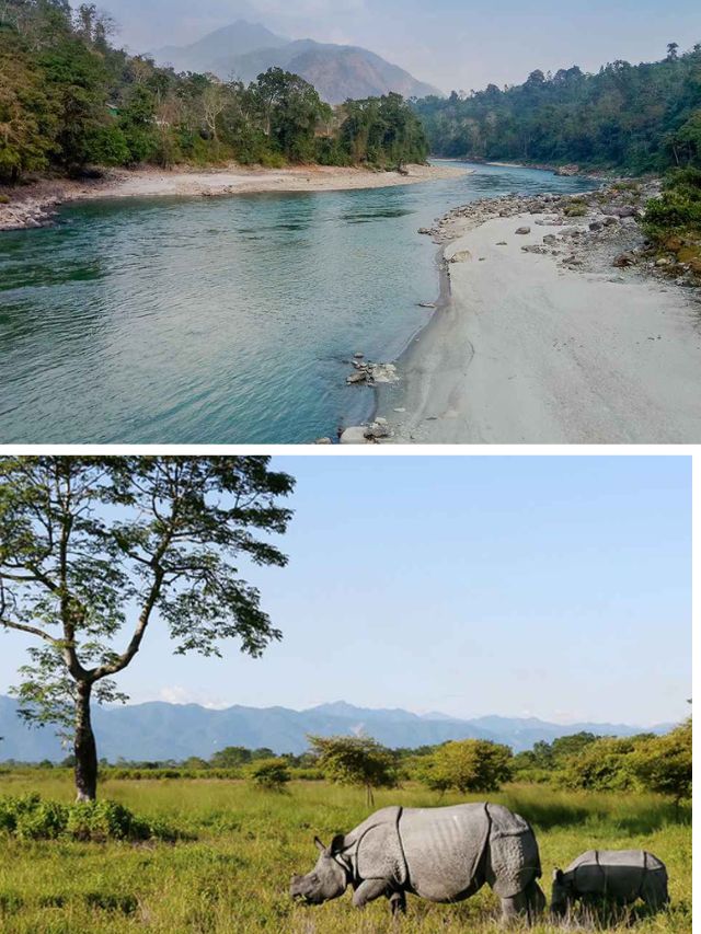 5 Offbeat Things To Do At Manas National Park