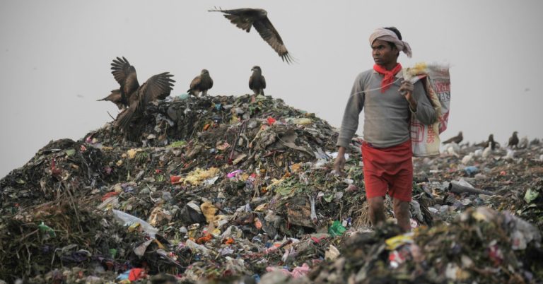 What Goes Where: A Practical Guide to Managing Waste in Indian Homes