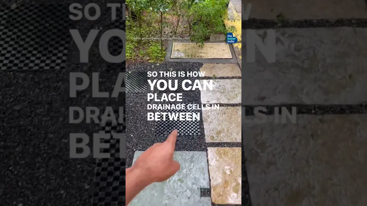 Looking to start rainwater harvesting but setting up a system seems ...