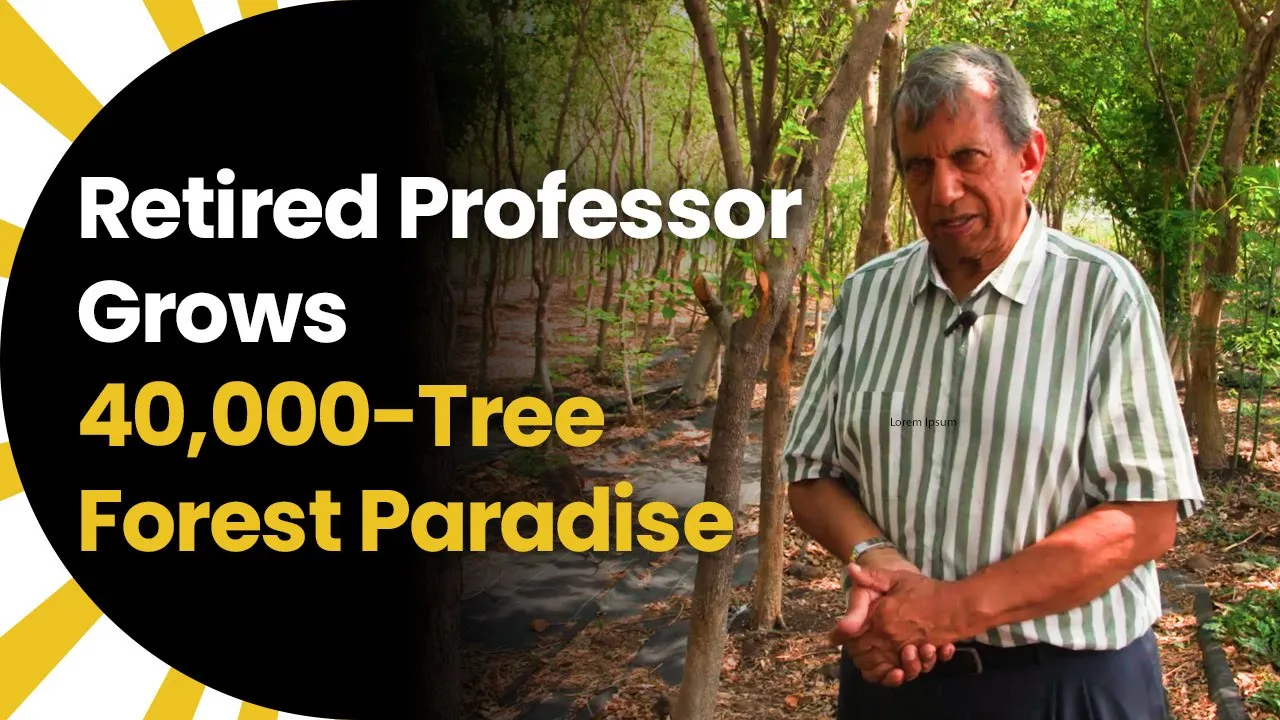 Retired Professor Grows 40,000-Tree Forest Paradise - The Better India