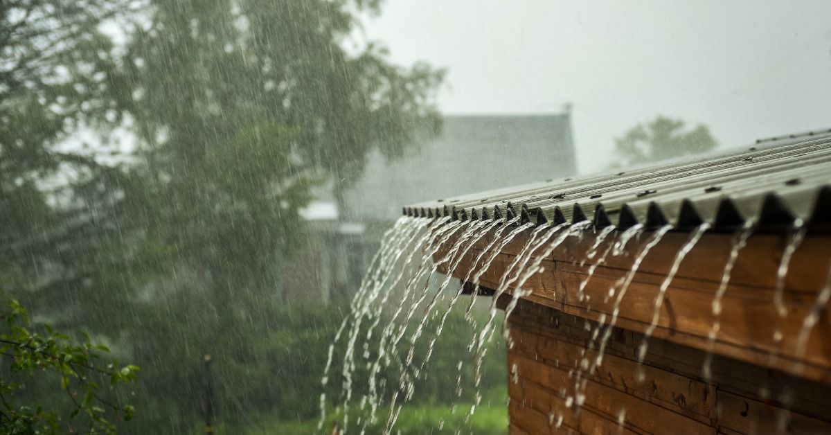 Why Rain Smells So Good: The Science of Petrichor Explained