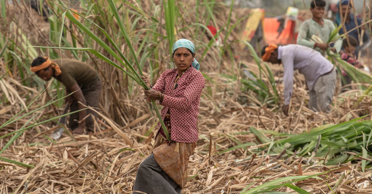 In Beed, Hysterectomies Are the Price of Work, But We Found a Solution ...