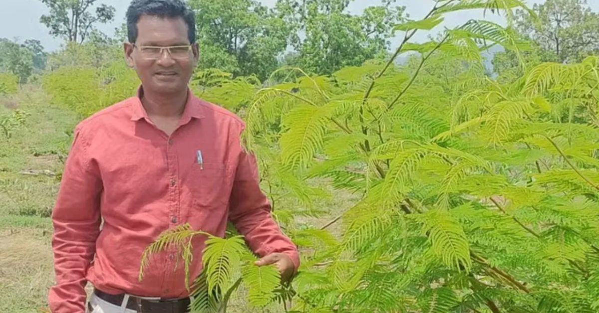 Class 12 Pass Out in Chhattisgarh Earns Lakhs Through Lac Farming