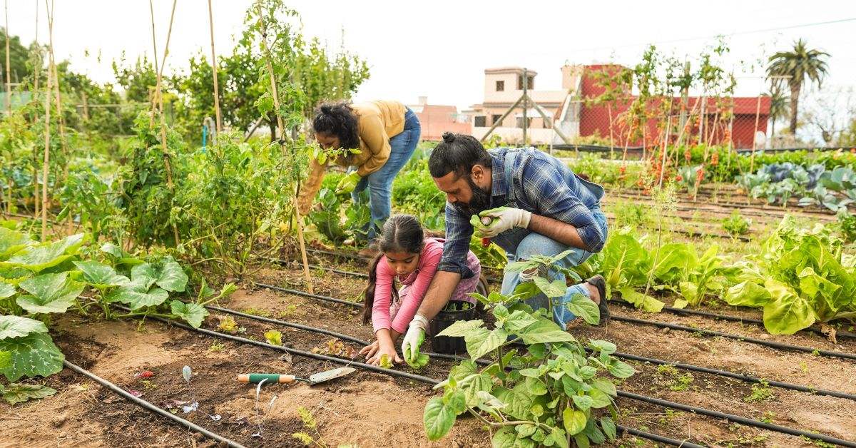 4 Sustainable Farms Near Metro Cities For Parents & Kids