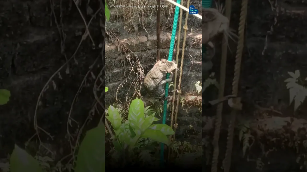 A Rope, a Heroine, a Second Chance - The Better India